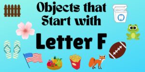 200+ Objects that Start with F (for Children)