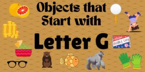 215 Great Objects that Start with G