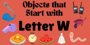 175+ Wonderful Objects that Start with W