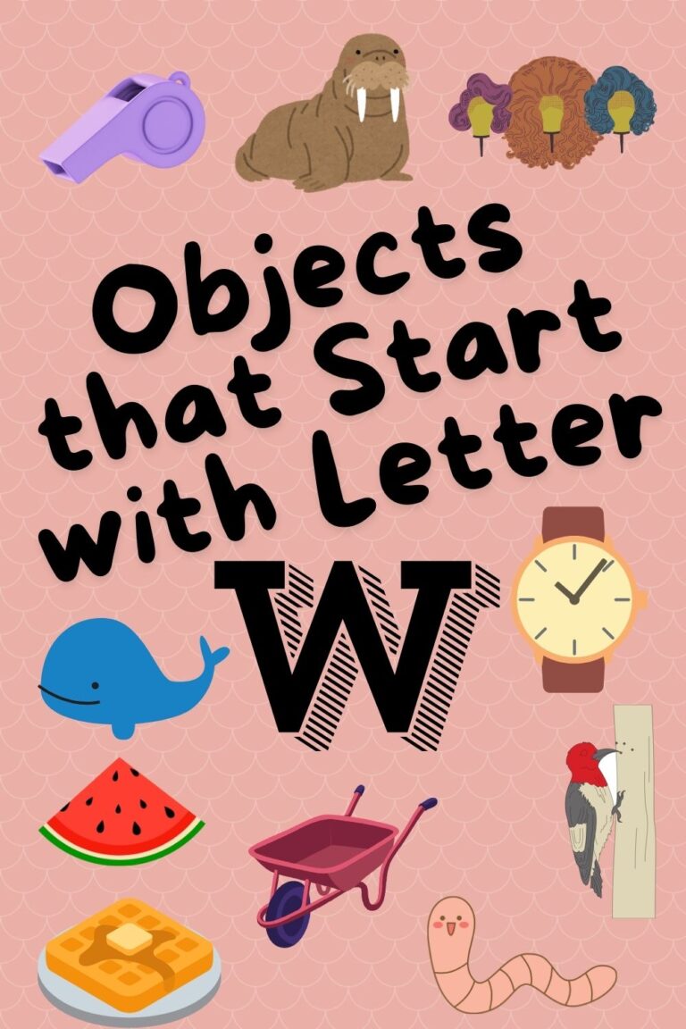 175+ Wonderful Objects that Start with W