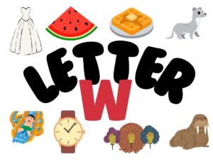 175+ Wonderful Objects that Start with W