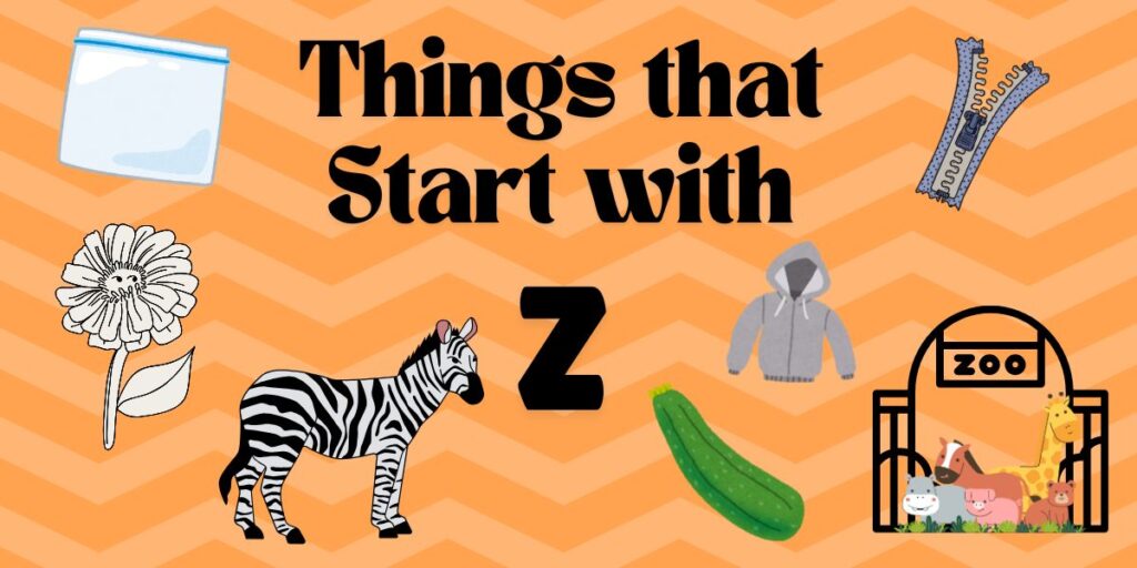 65 Zany Objects that Start with Z