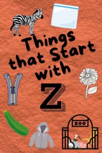 65 Zany Objects that Start with Z