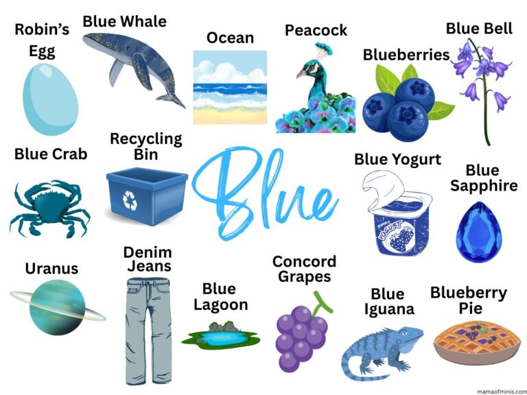 80+ Brilliant Things that are Blue